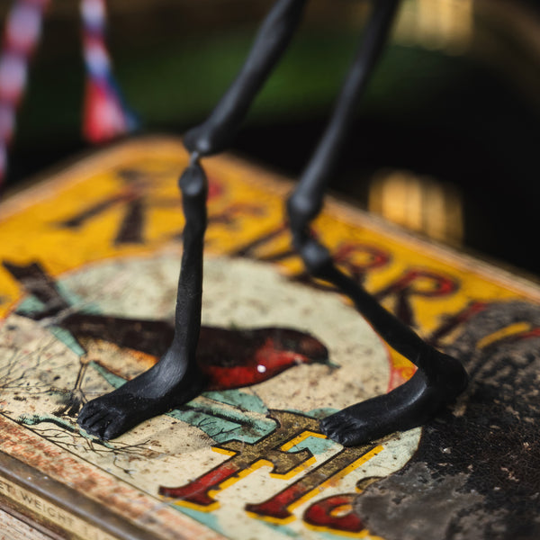 whoah, boy – Candice Tripp