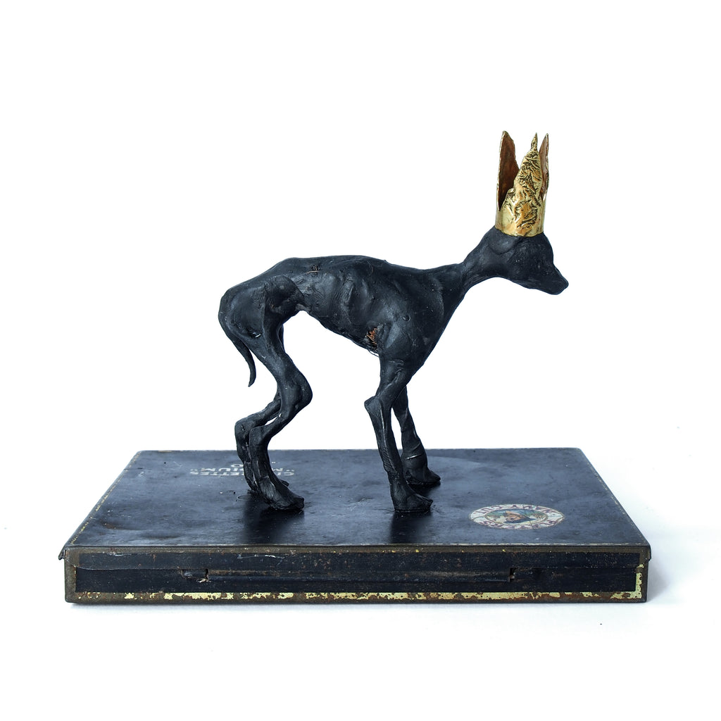 Princess – Candice Tripp